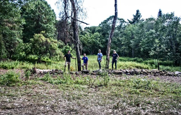 Quirky Quercus - The Norcross Wildlife Foundation