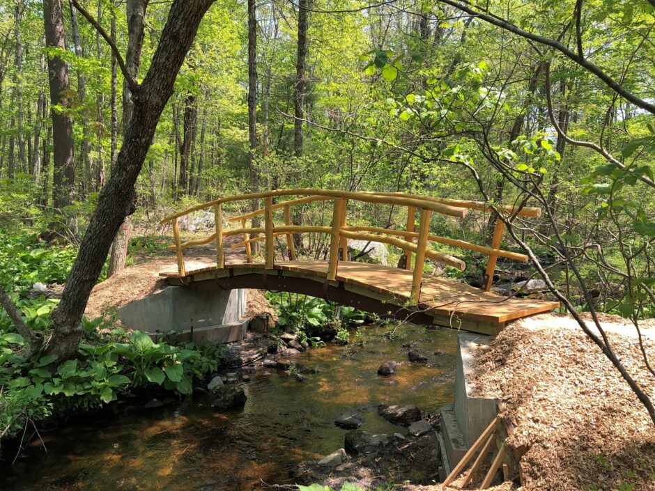 MADCapHorse - The Norcross Wildlife Foundation