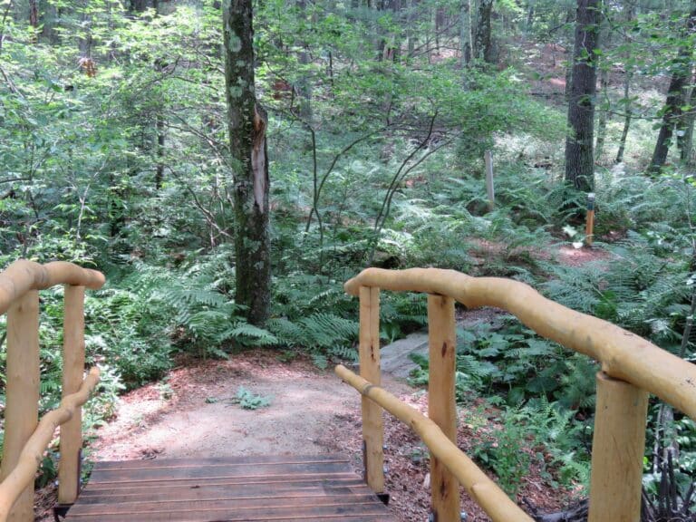 Home - The Norcross Wildlife Foundation