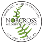 MADCapHorse - The Norcross Wildlife Foundation