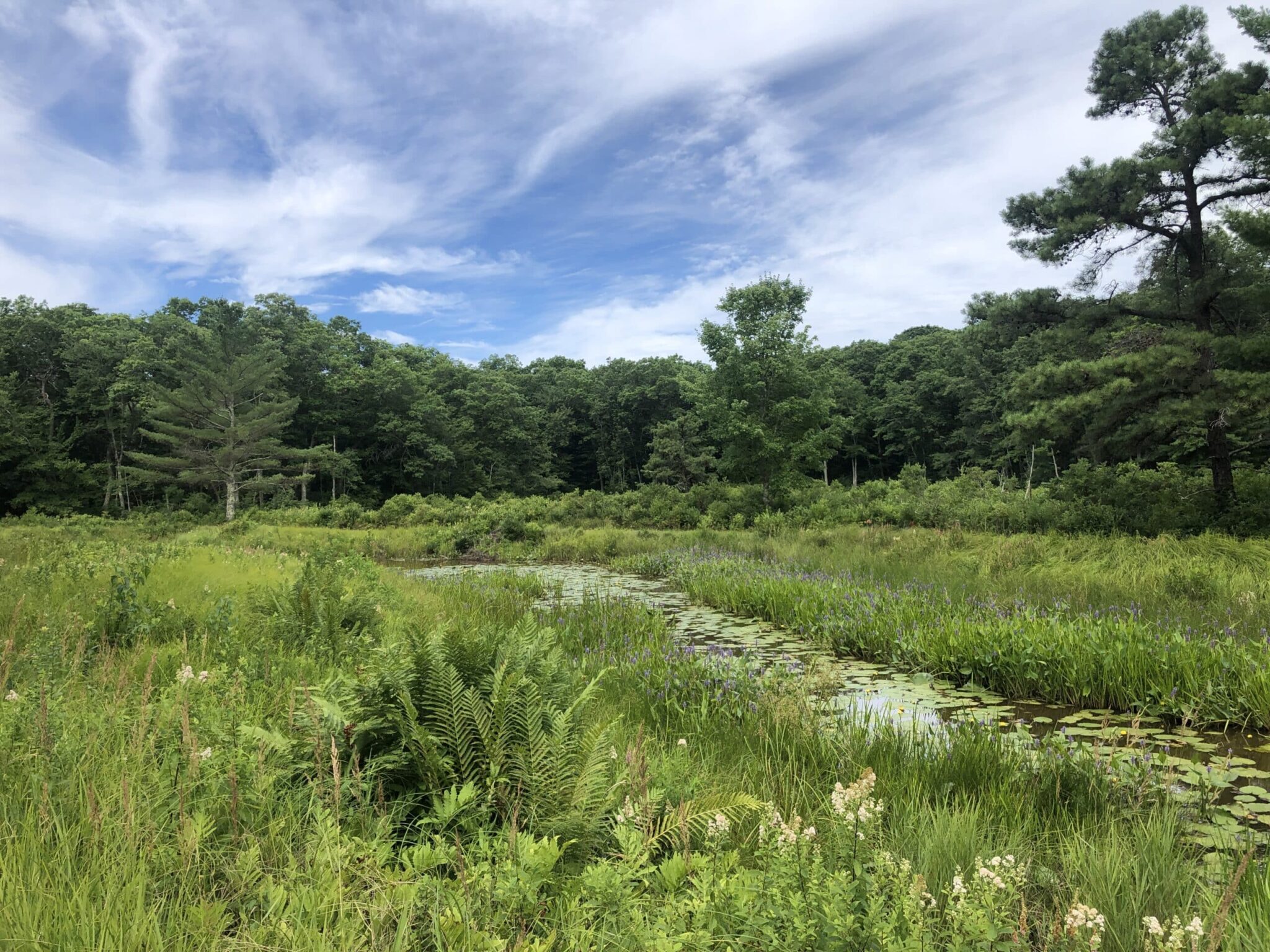 Events from August 7 – September 11 – The Norcross Wildlife Foundation