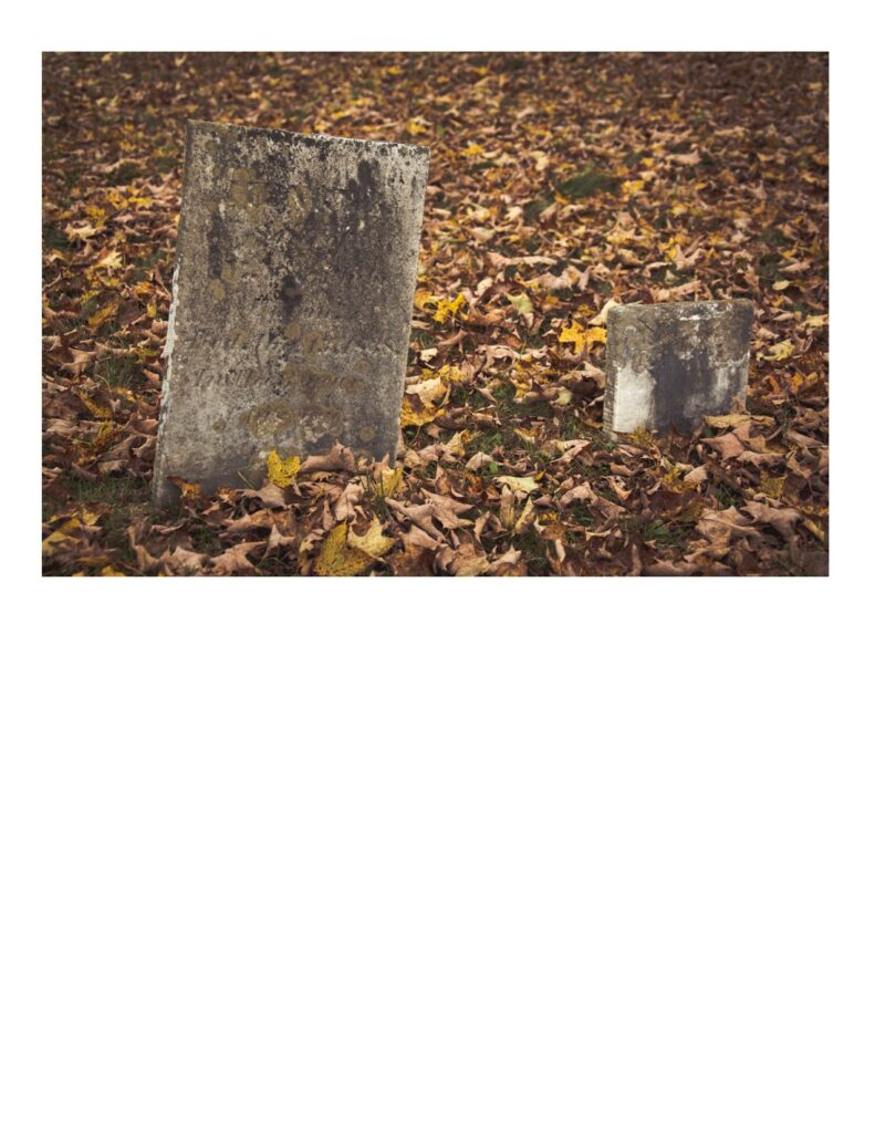 Welcome to the Graveyard! - The Norcross Wildlife Foundation