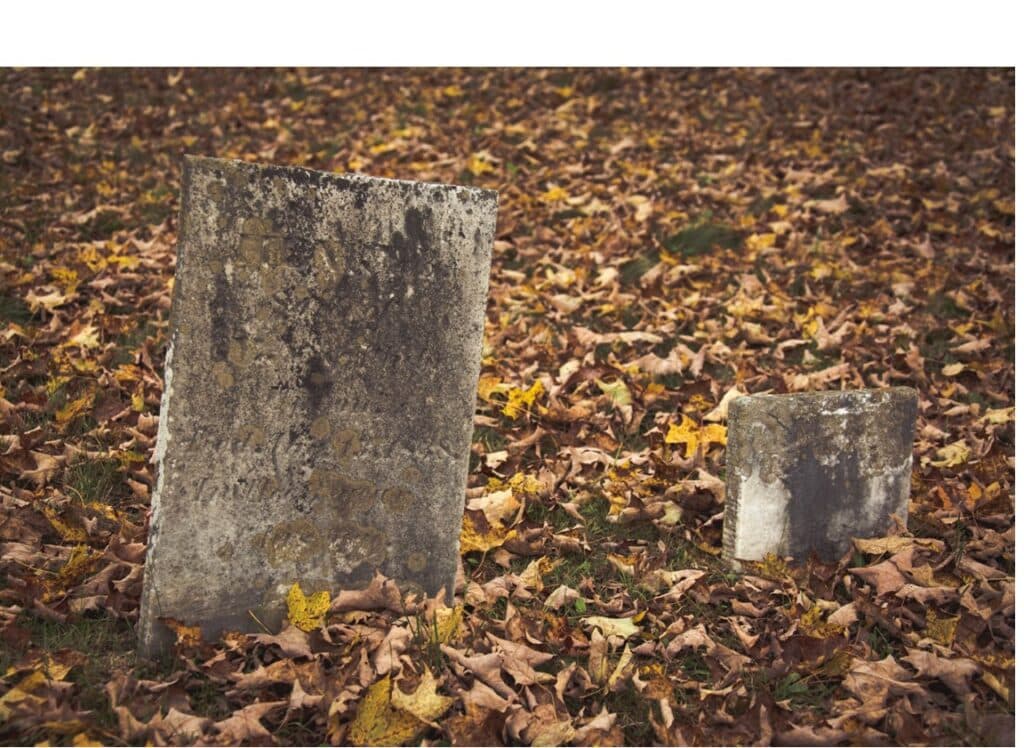 Welcome to the Graveyard! - The Norcross Wildlife Foundation