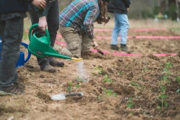Home - The Norcross Wildlife Foundation