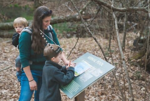 Home - The Norcross Wildlife Foundation